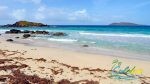 Best Beaches in Culebra Puerto Rico - 2022 Guide w/ Photos, Map, Tours