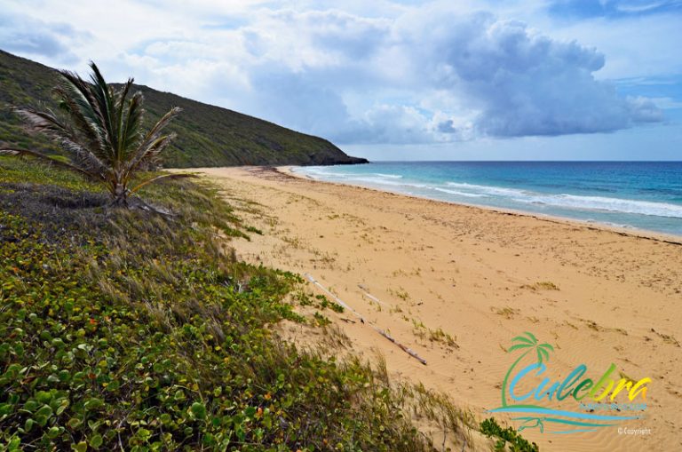Playa Resaca - Culebra, Puerto Rico - 2024 Beach Guide