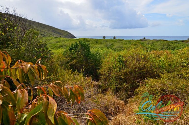 Playa Resaca - Culebra, Puerto Rico - 2024 Beach Guide