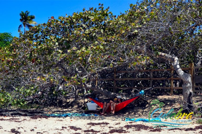 Zoni Beach, Culebra, Puerto Rico - 2024 Beach Guide - Photos, Tips, Safety