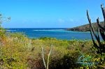 Punta Soldado Beach - Culebra Puerto Rico - 2024 - Beach Guide